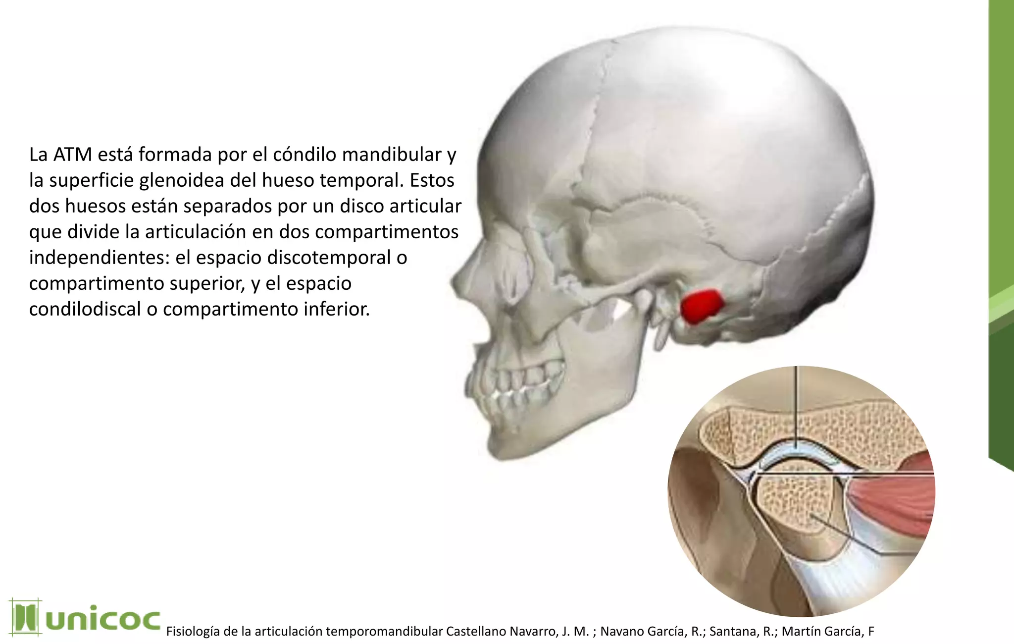 BIOMECANICA DE LA atm.pptx