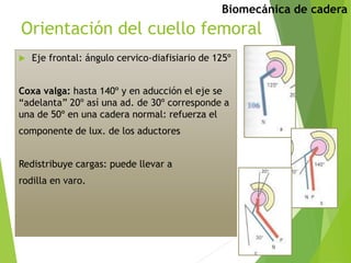 BIOMECANICA DE LA CADERA5648537846479823.pptx