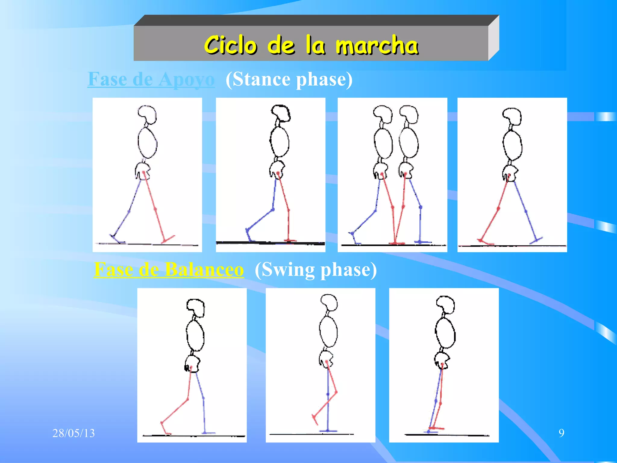 Biomecanica de la marcha | PPT