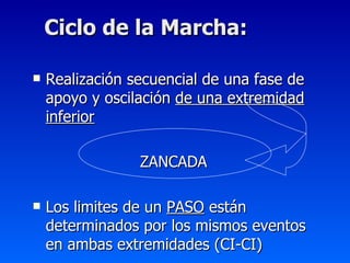 Biomecanica de la_marcha_normal | PPT