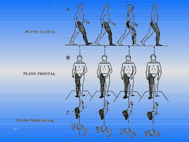 Biomecanica De La Marcha