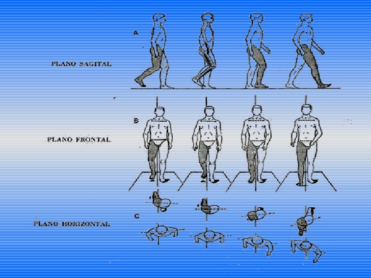 Biomecanica De La Marcha