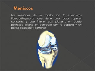 Biomecanica de la_rodilla | PPT