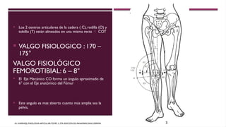 Biomecanica de la rodilla Iliana garay.pptx