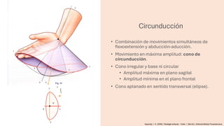 BIOMECANICA DE LA MUÑECA, BIOMECANICA DE | PDF