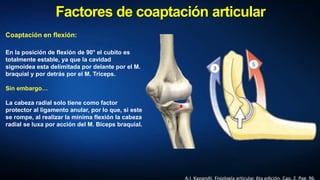 BIOMECANICA DE CODO | PDF