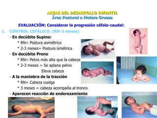 Biomecanica del desarrollo 0 6m-asl | PPTX