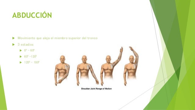 Biomecanica del hombro