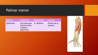 BIOMECANICA_DEL_HOMBRO.pptx
