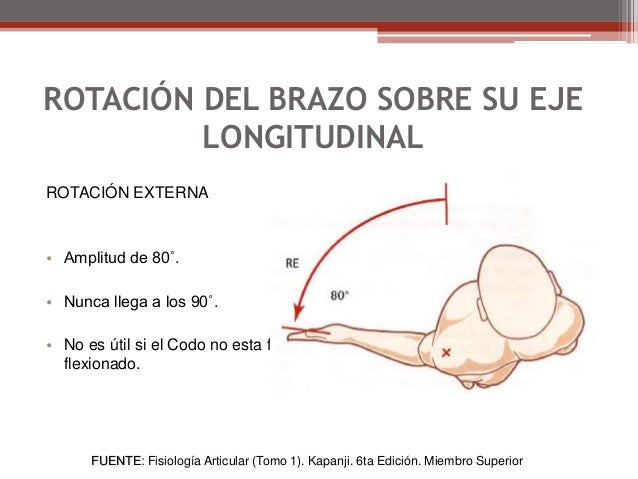 Biomecanica del hombro parte 1