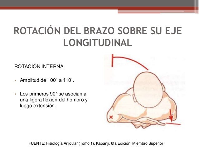 Biomecanica Del Miembro Superior Planos Y Ejes De Movimiento
