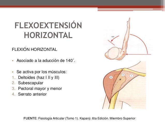 Flexion Y Extension De Hombro