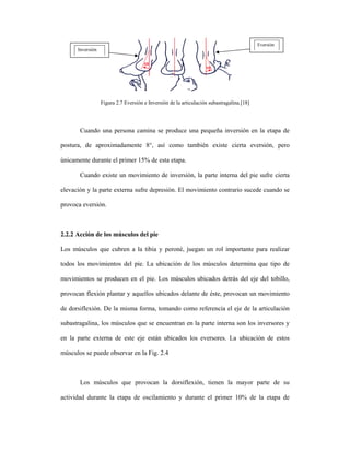 Biomecánica del pie en formato pdf para estudiarr | PDF