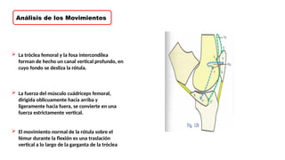 Biomecanica del rodilla parte nro II.pptx