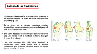 Biomecanica del rodilla parte nro II.pptx