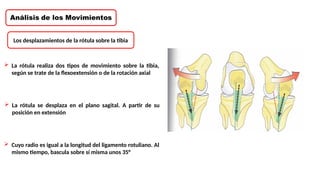Biomecanica del rodilla parte nro II.pptx