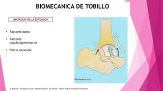 BIOMECANICA DEL TOBILLO.pptx