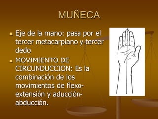 BIOMECANICA DE MANO Y MUÑECA 5677y672.ppt