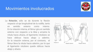 Biomecánica de Rodilla y Pierna | PPTX