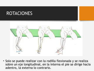 biomecanica de rodilla y tobillo anatomia | PPTX