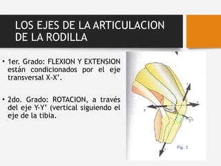 biomecanica de rodilla y tobillo anatomia | PPTX