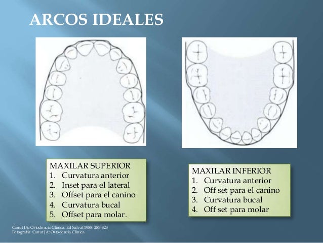 Biomecanica dobleces y torque.