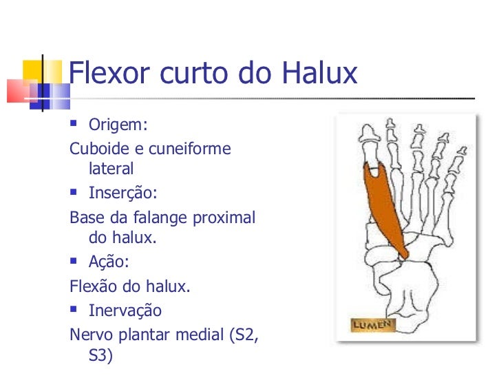 Biomecanica do pé e tornozelo