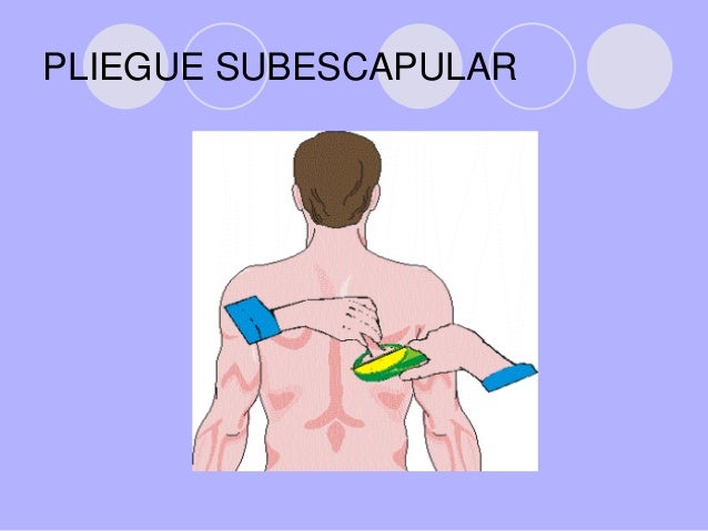 Biomecanica iiicineantropometria