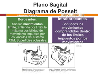 Biomecanica mandibular | PPTX