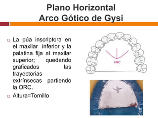 Biomecanica mandibular | PPTX