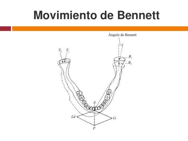 Biomecanica mandibular