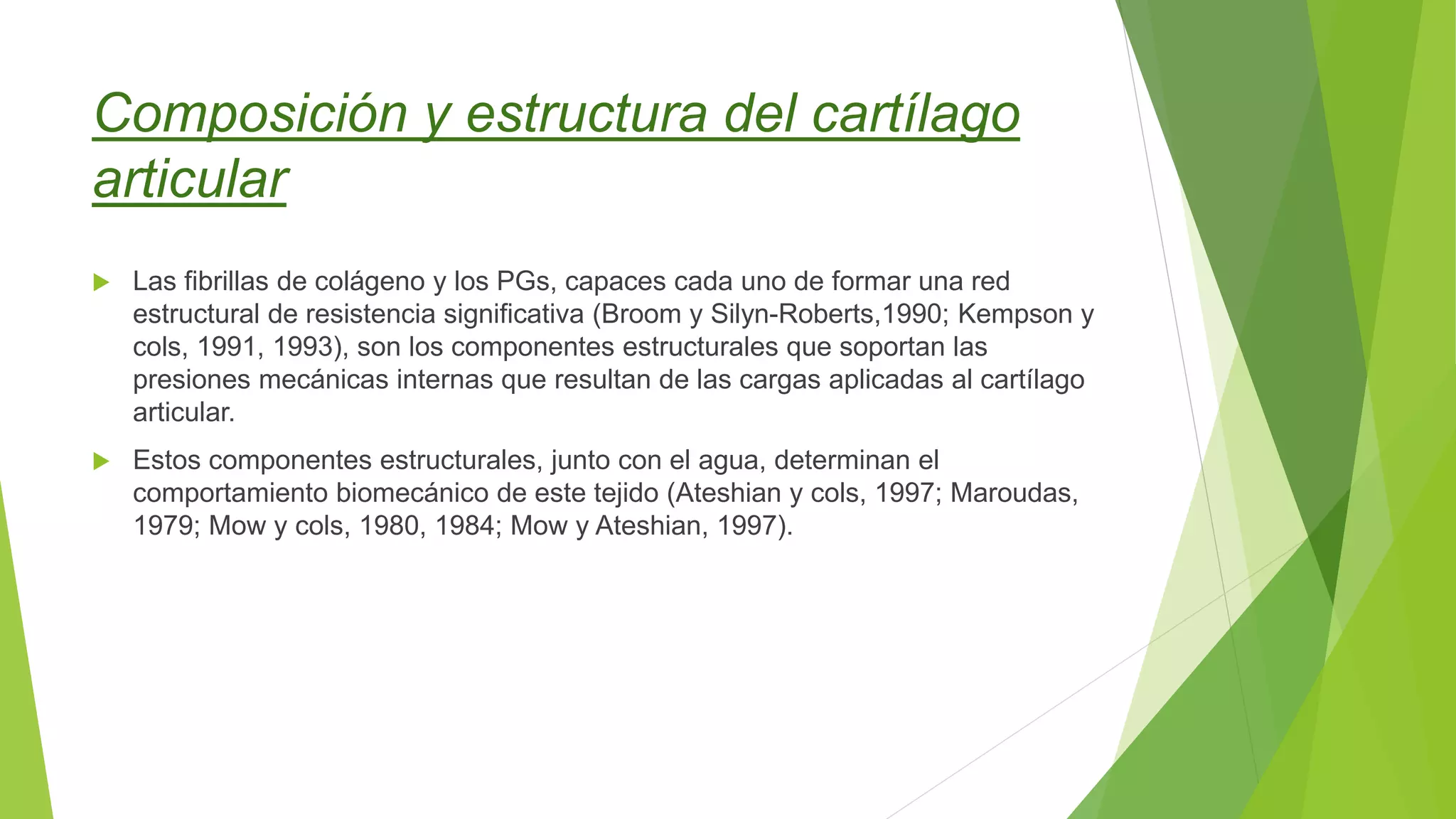 Biomecánica del Cartílago Articular | PPTX