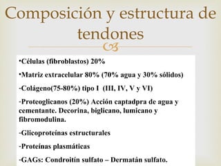 Biomecanica tendones | PPT