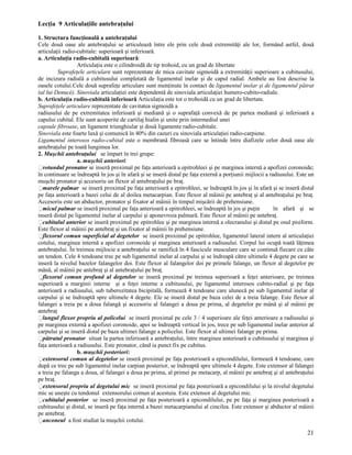 Biomecanik | PDF