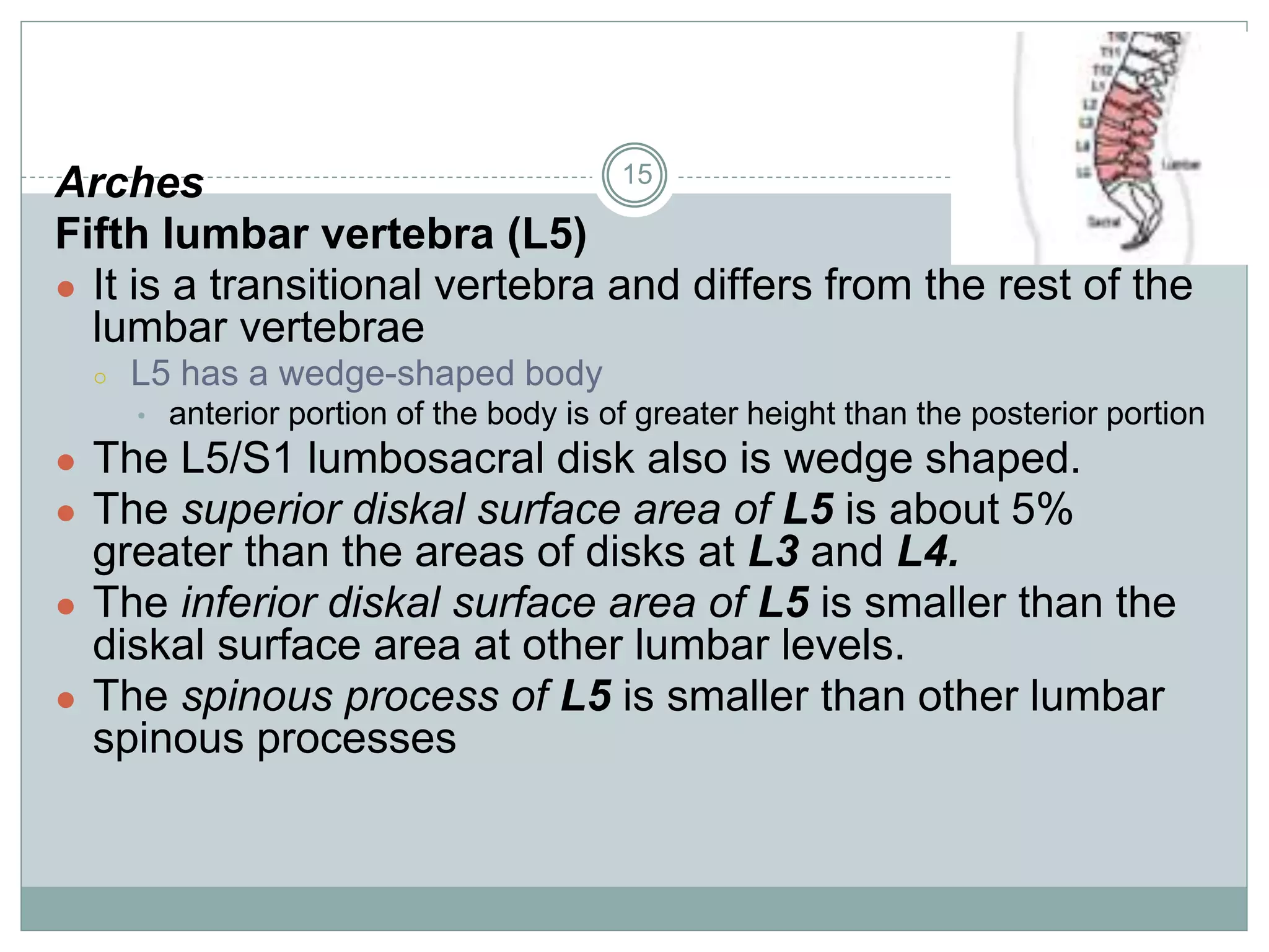 Biomech lumbar spine | PPTX