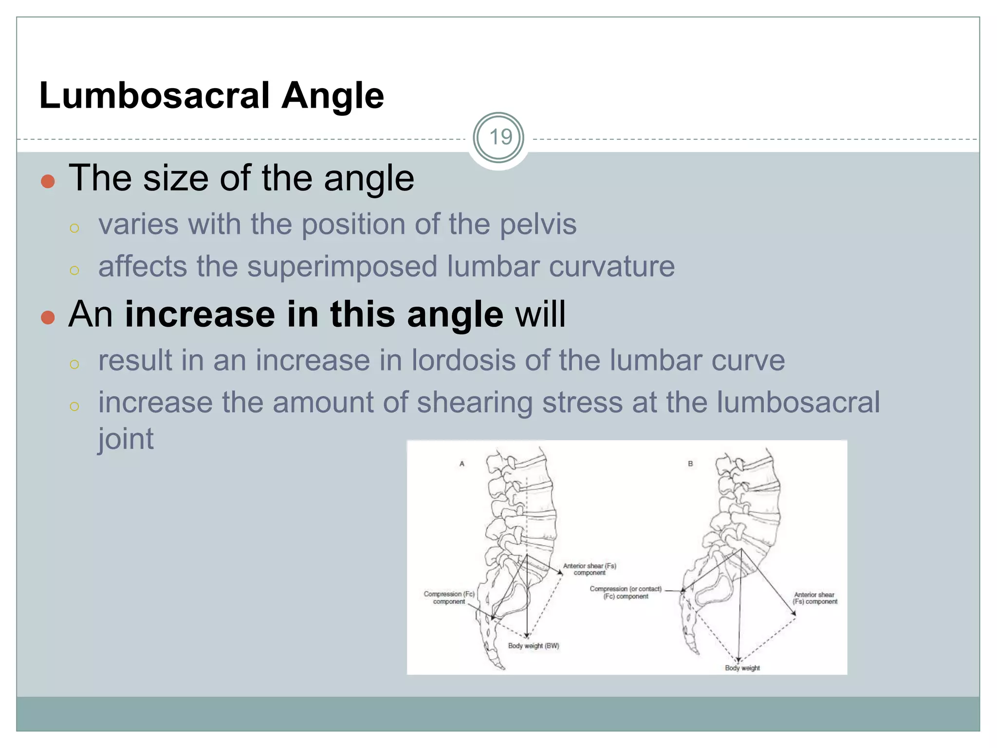 Biomech lumbar spine | PPTX