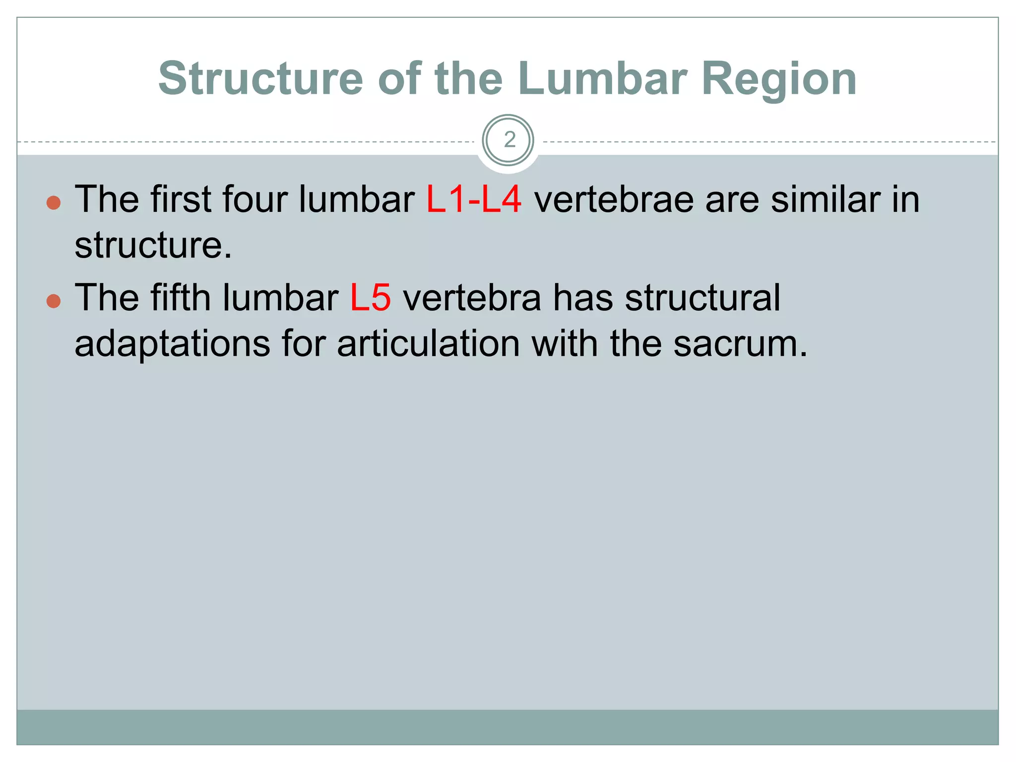 Biomech lumbar spine | PPTX