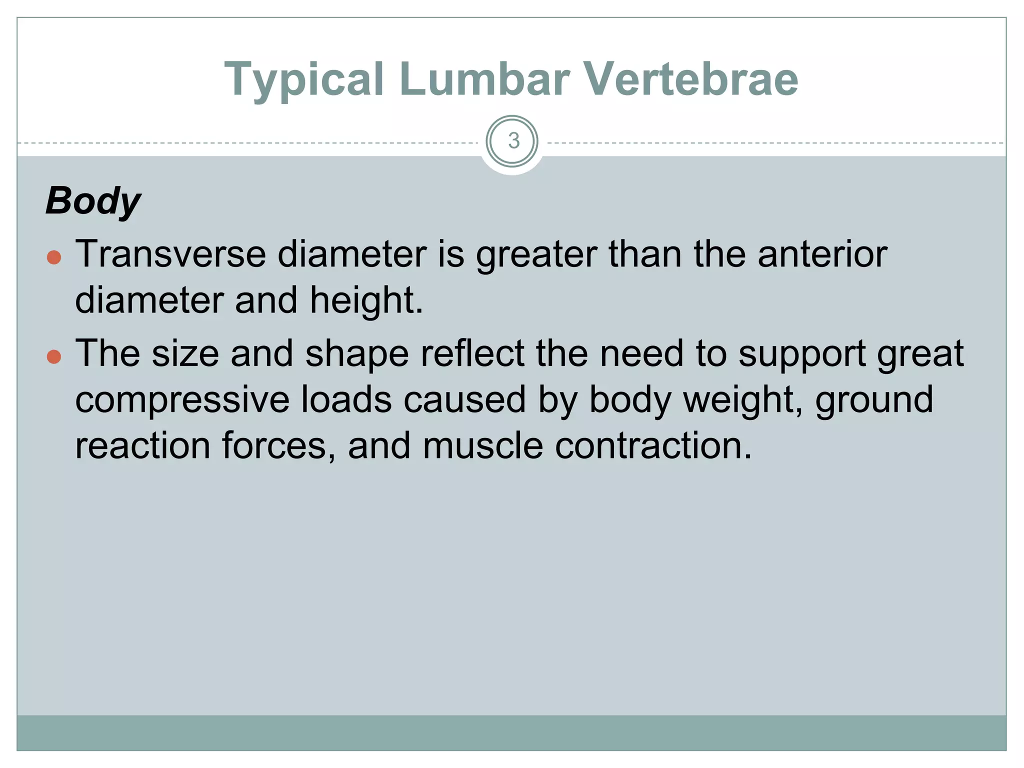 Biomech lumbar spine | PPTX