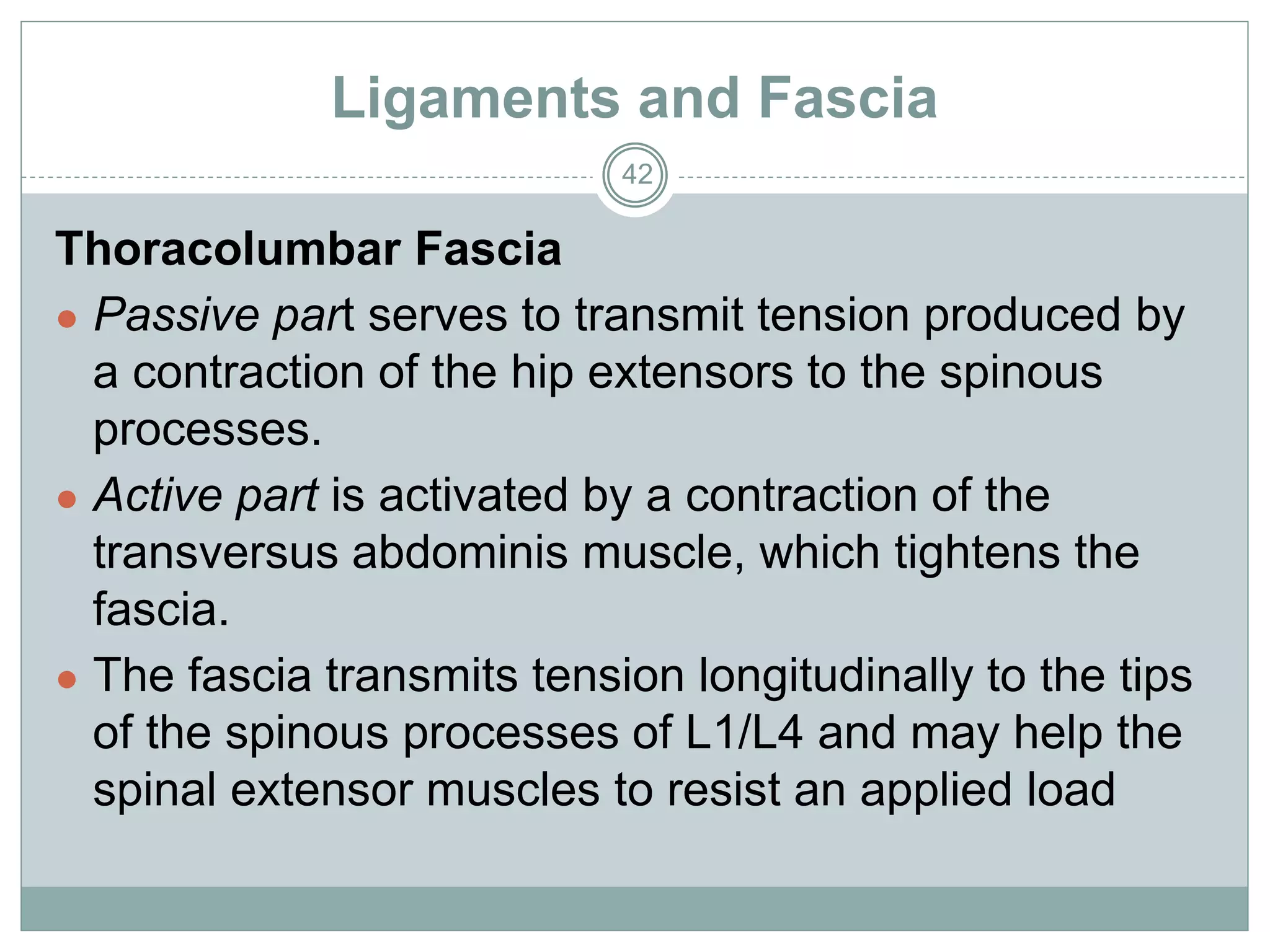 Biomech lumbar spine | PPTX