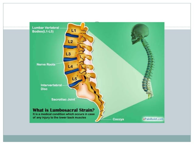 Biomech lumbar spine | PPTX