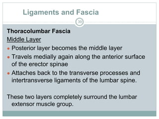 Biomech lumbar spine | PPTX