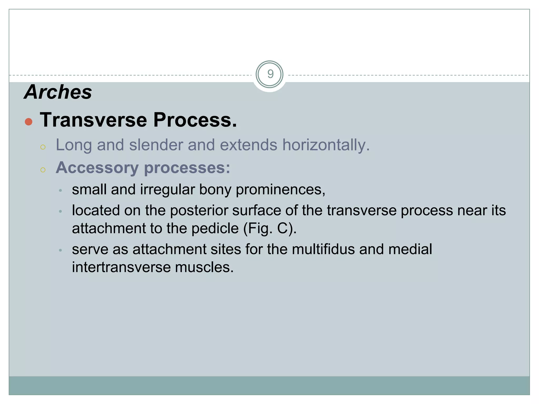 biomech-lumbarspine-190930194011 (2).pdf