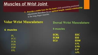 Biomechamnics of Wrist and Hand complex. | PPTX