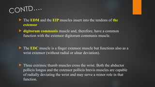 Biomechamnics of Wrist and Hand complex. | PPTX