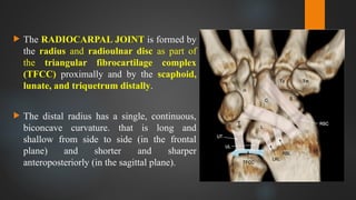 Biomechamnics of Wrist and Hand complex. | PPTX