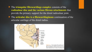 Biomechamnics of Wrist and Hand complex. | PPTX