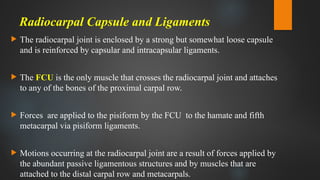 Biomechamnics of Wrist and Hand complex. | PPTX