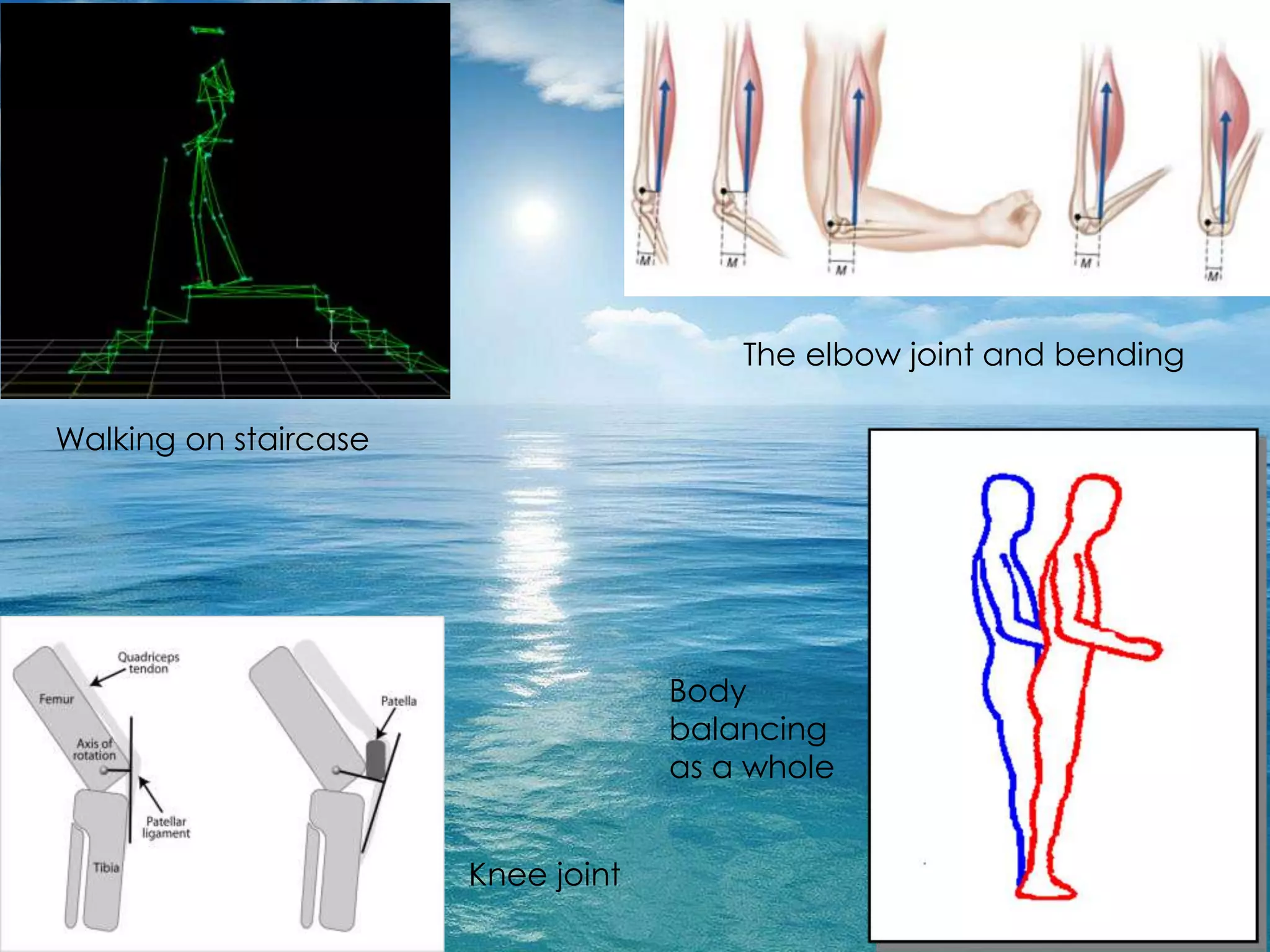 Biomechancs in Orthodotnics | PPTX
