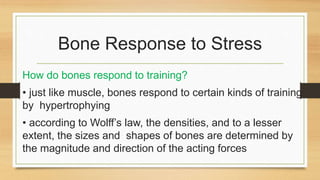 The Biomechanics of Human Bone Growth and Development | PPTX