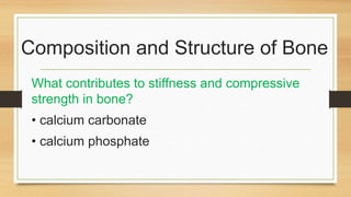 The Biomechanics of Human Bone Growth and Development | PPTX